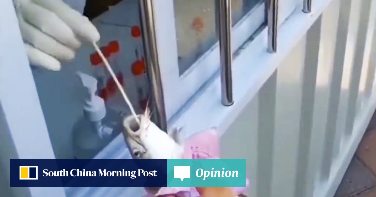 Opinion | Testing fish for Covid-19 is a sign that political dogma has ...