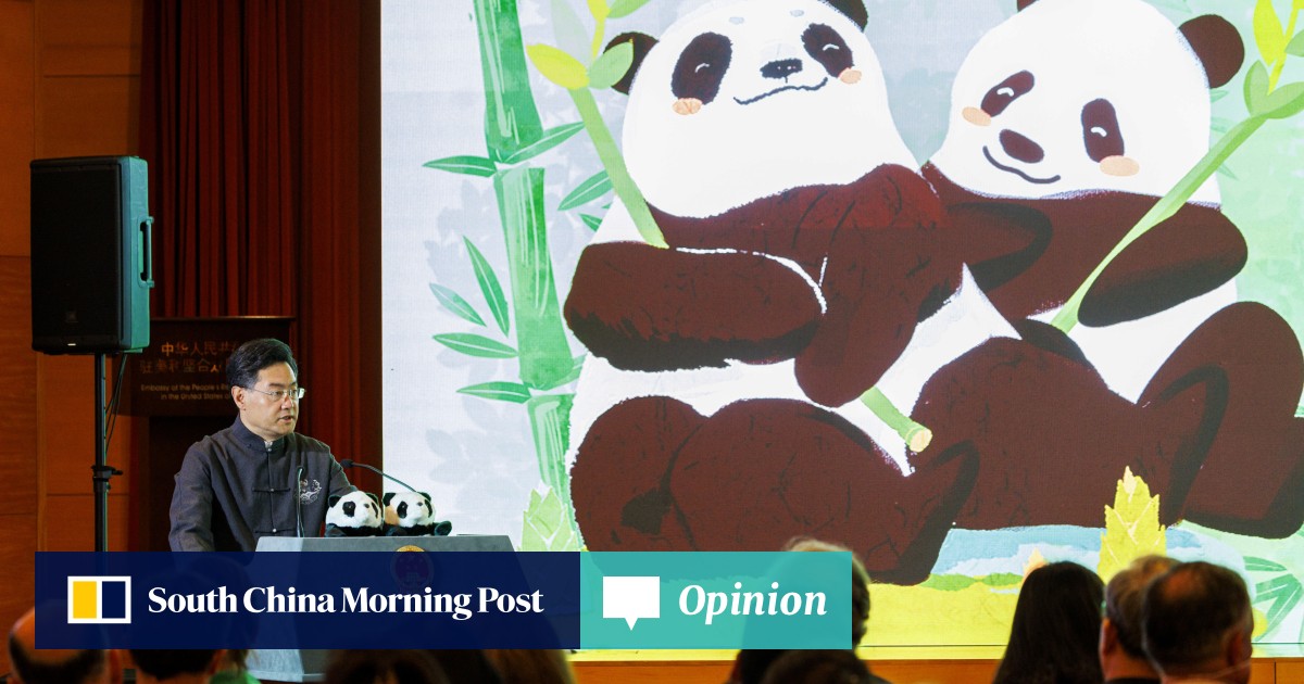 As I see it | China sends pandas abroad as envoys of goodwill but locks ...