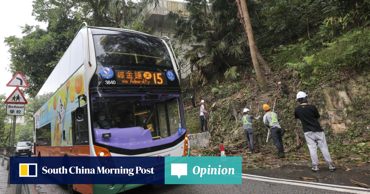 Opinion | Hong Kong can prevent deaths from falling trees with better ... Opinion | Hong Kong can prevent deaths from falling trees with better ...