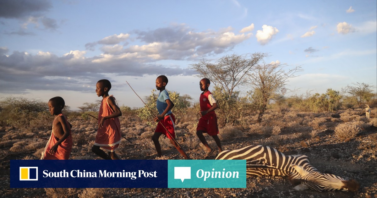 Inside Out | Efforts to combat climate change and biodiversity loss are ...