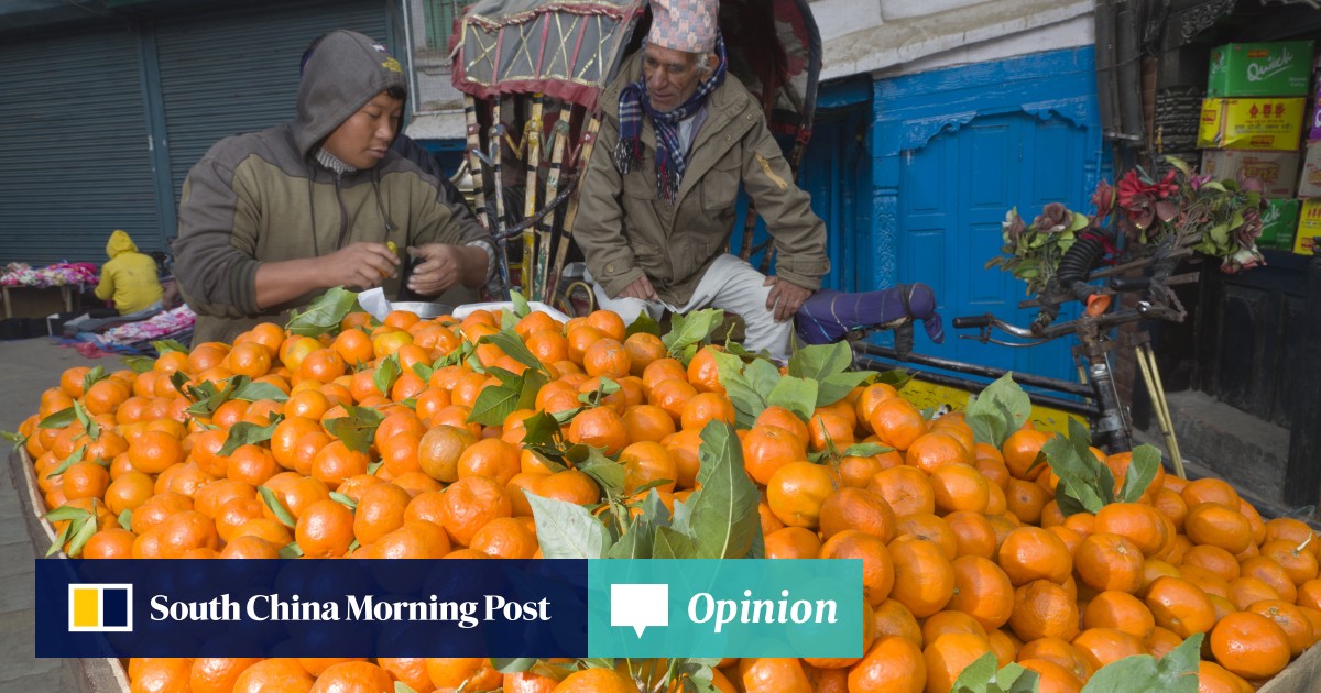 Opinion | The orange’s origins: how it travelled from East to West and ...