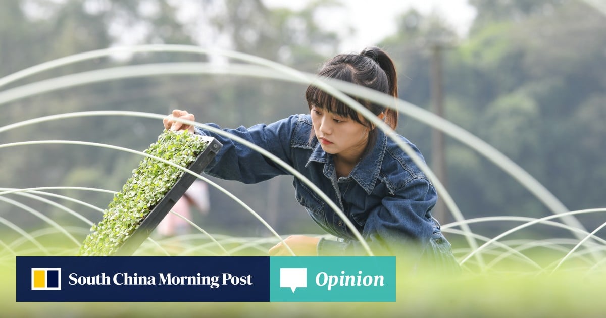 Opinion Why China Would Be Wise To Analyse Its Lunar New Year Travel