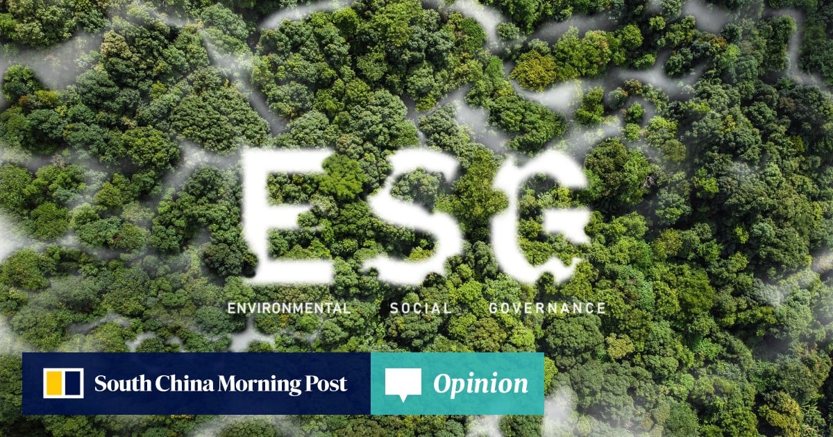 Opinion Instead Of Labels Like Esg Lets Prioritise Good Old