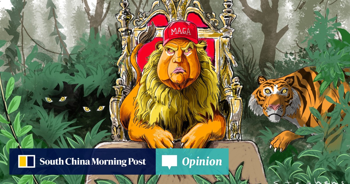 Opinion | If Trump has his way with Maga, it’s back to the law of the ...