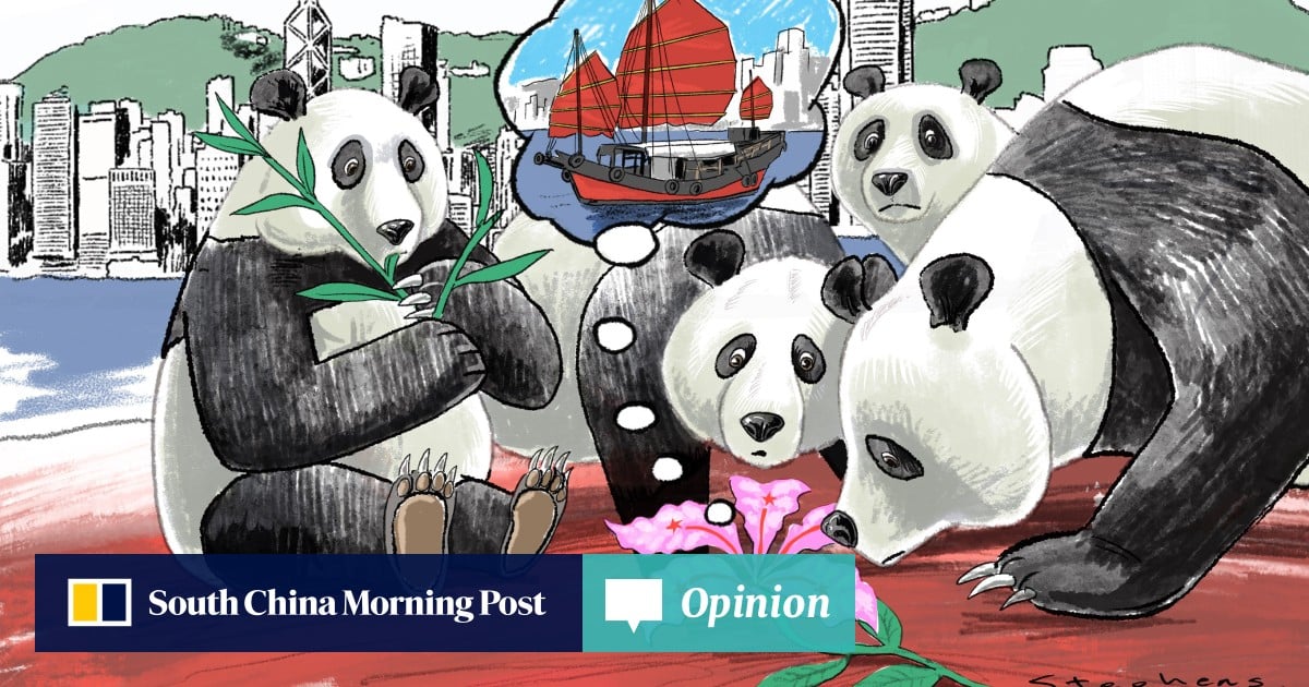 Opinion | Panda fever is great but Hong Kong needs its own cultural ... Opinion | Panda fever is great but Hong Kong needs its own cultural ...