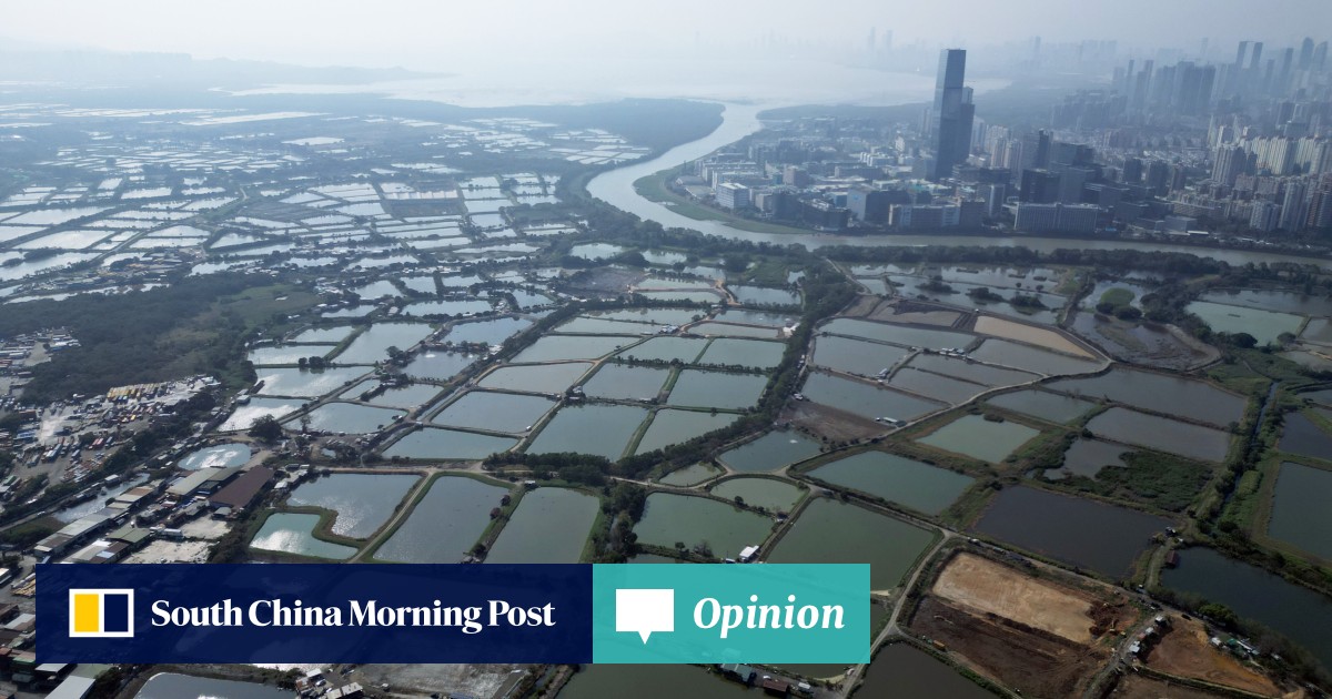 Opinion | Why lack of clear vision is holding back Northern Metropolis ...
