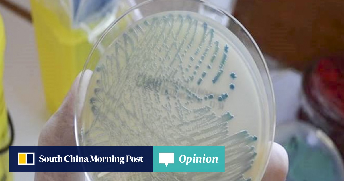 Opinion | Action on antibiotics key to superbug fight | South China ...