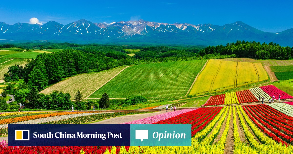 Opinion | What to do in Sapporo in summer – Japan’s top ski destination ...
