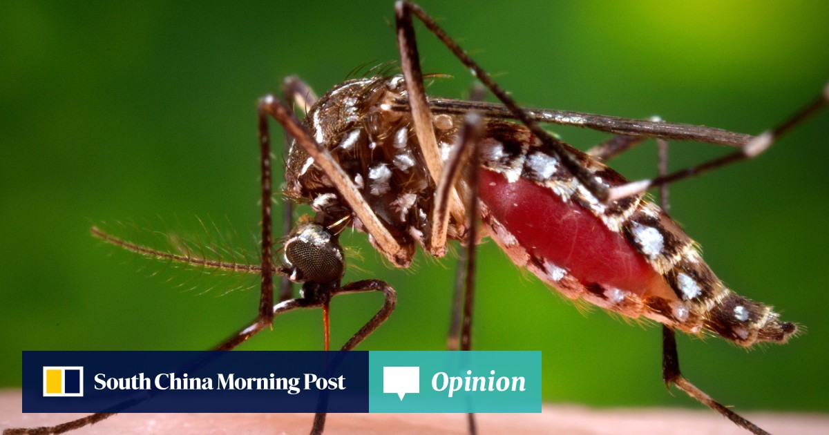 Climate change isn’t bad for everyone – disease-carrying mosquitoes may ...