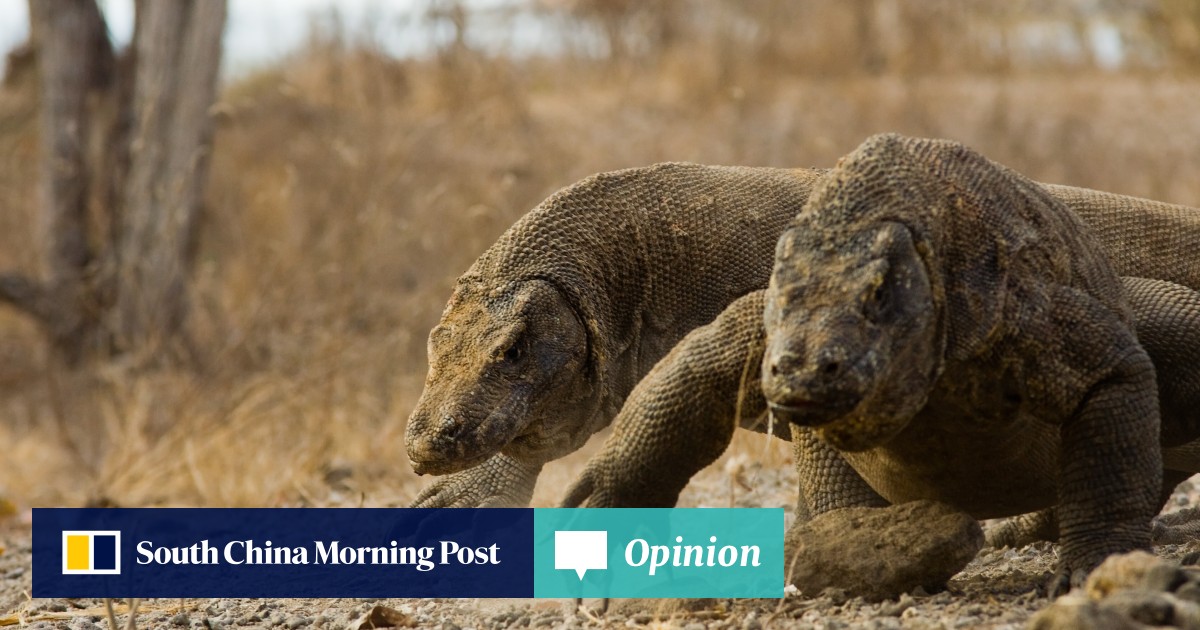 Opinion: Komodo National Park caps daily visitors to 75 – is it finally ...
