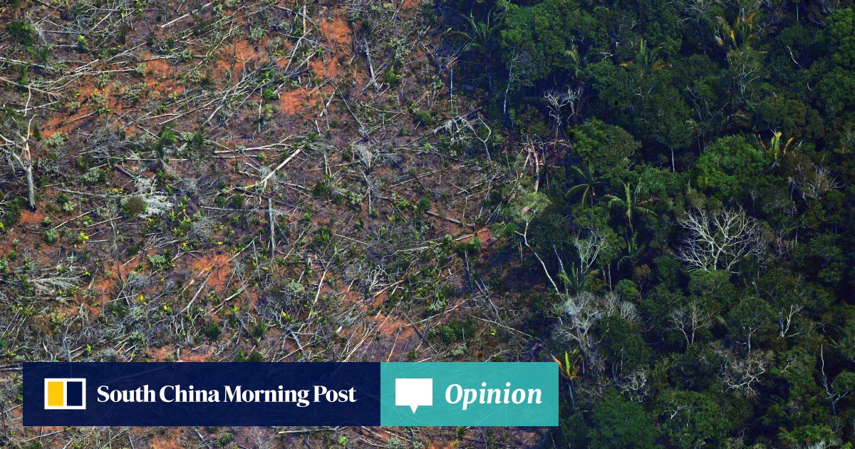 Hong Kong banks must do more to reduce their impact on climate change ...