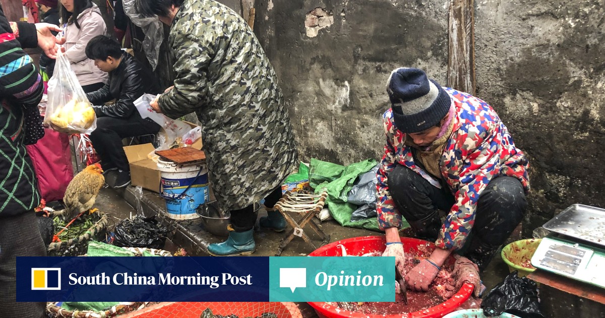 As I see it | Can World Health Organization’s coronavirus investigation ...