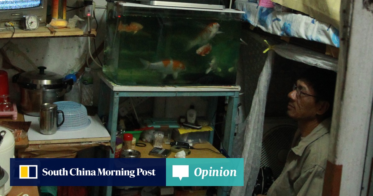 The View | Family breakdown, poverty and discontent in public housing ...