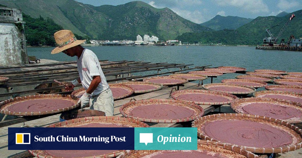Opinion | Where Cantonese chefs got their taste for shrimp paste ...