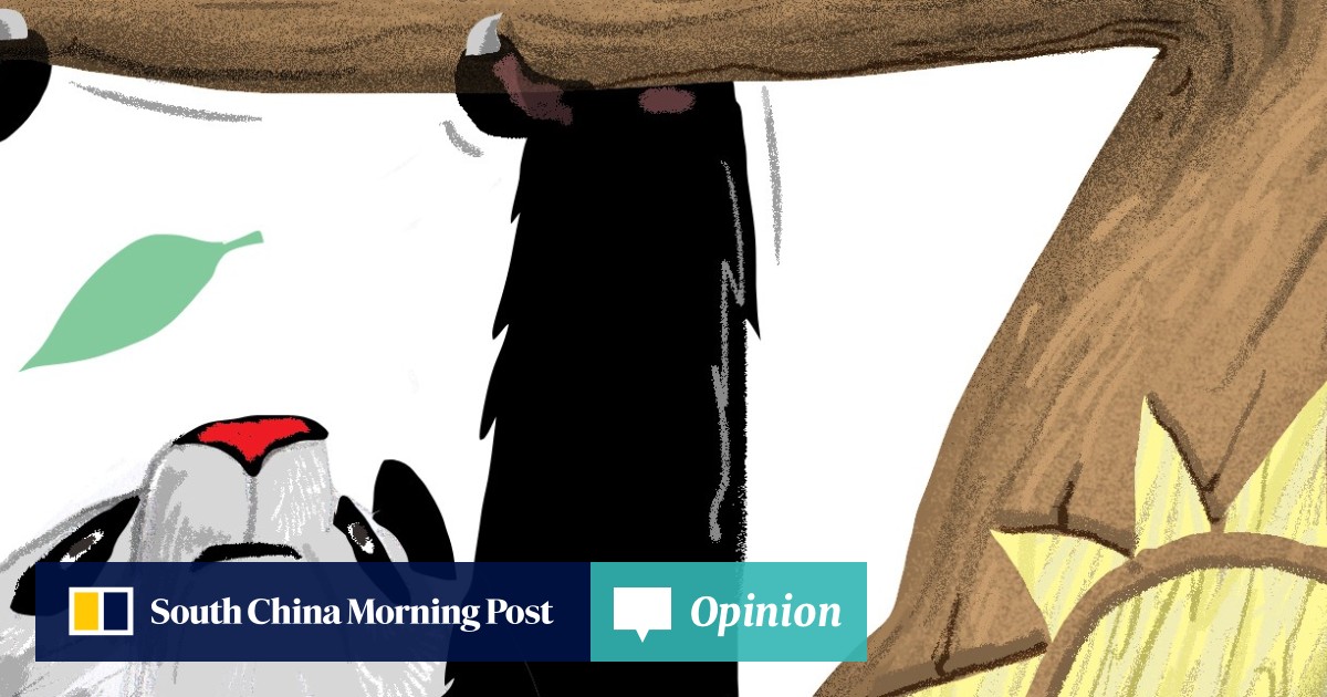 Opinion | For all its power, China can’t sever Taiwan’s links to the ...