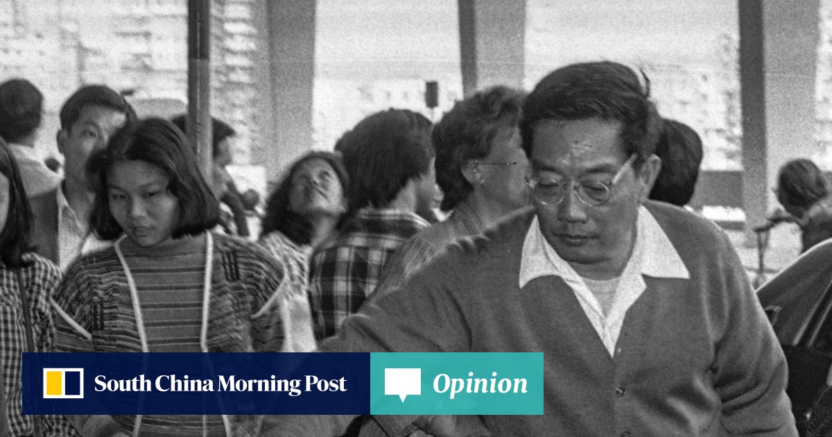 Remember A Day | Pigs on the loose in France and Cosmic Brotherhood ...