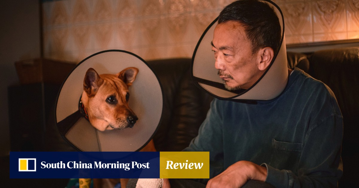 Review | An Abandoned Team movie review: Lawrence Cheng bonds with ...