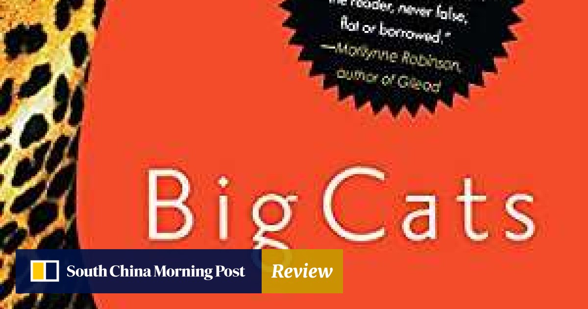 Book review: Big Cats is a dazzling collection of stories | South China ...