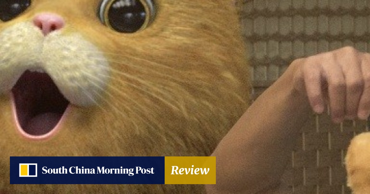 Review | Film review: Meow – Louis Koo meets an alien cat in family ...