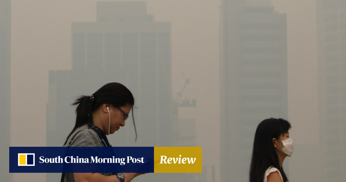 Review | Ponti is a great Singaporean novel – compelling, evocative ...