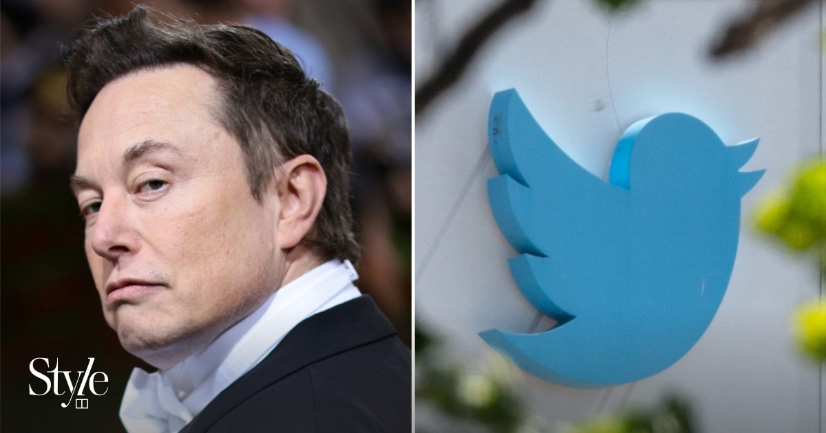 Elon Musk vs Twitter: what happens next? The Tesla billionaire ditched ...