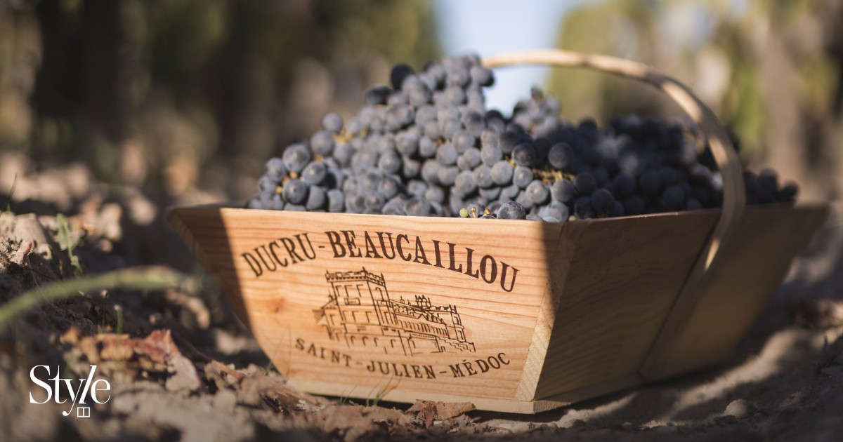 Explainer | How to start and maintain a serious wine collection: focus ...