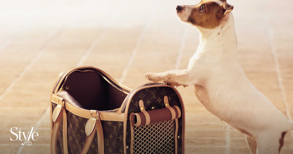 4 luxury brands to twin with your pampered pooch: from Louis Vuitton’s ...