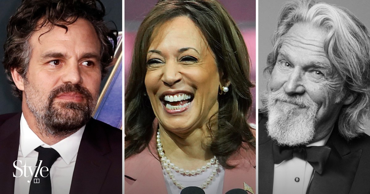 Who was on the ‘White Dudes for Harris’ call – and how much money did ...