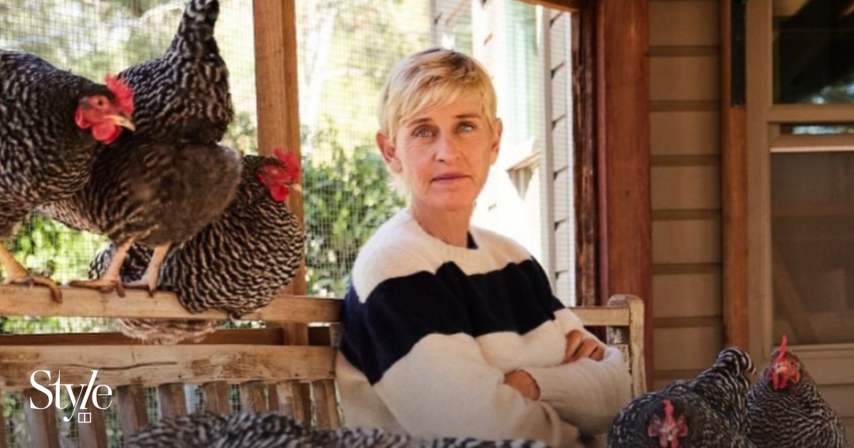 What happened to Ellen DeGeneres after her downfall? Accusations of a ...