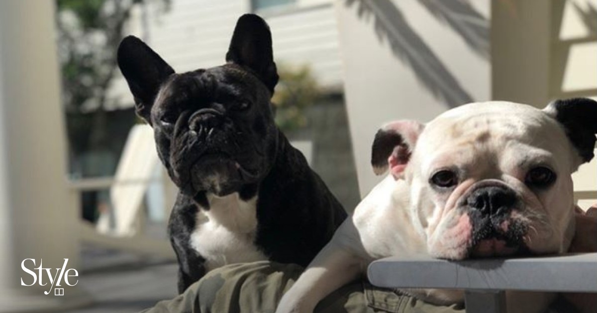We review Humming Puppy, the New York City yoga studio with good vibes ...