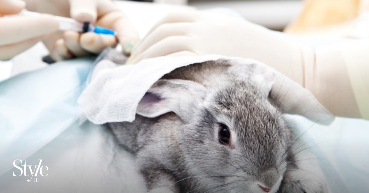 China announces end to post-market animal testing for cosmetic products ...