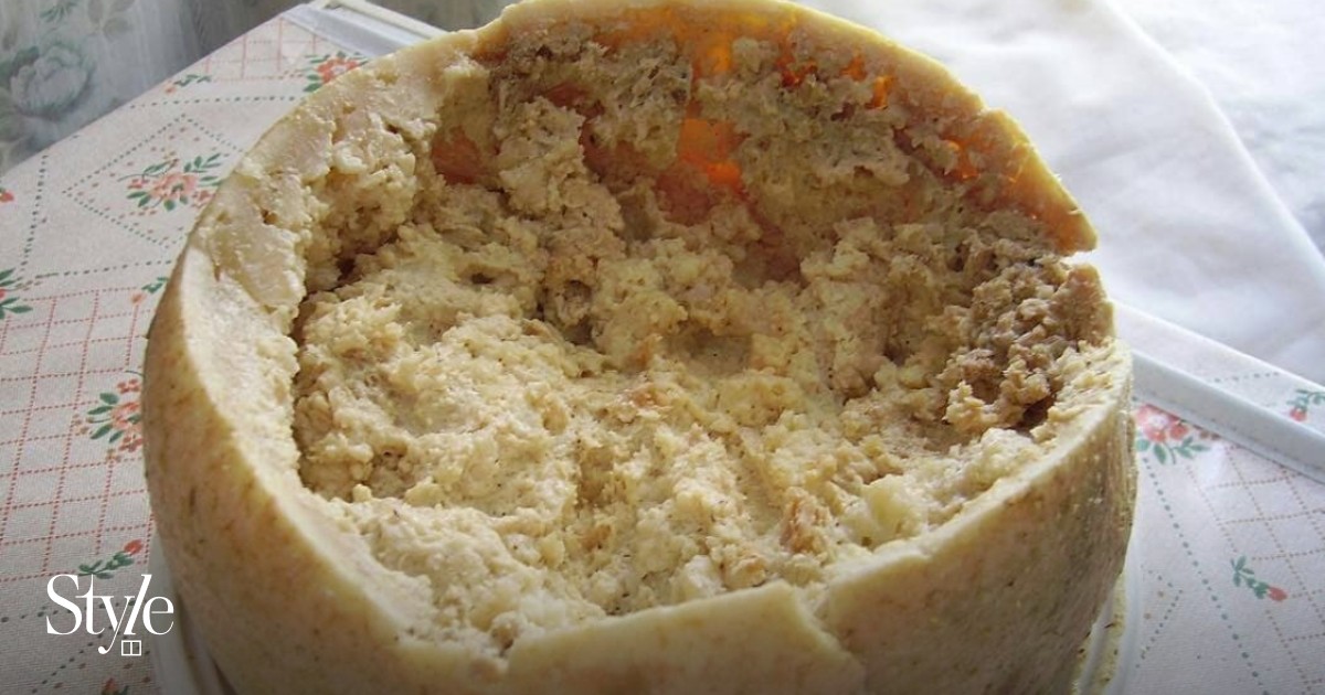 Rotten cheese with wriggling live maggots? Sardinia’s beloved casu ...