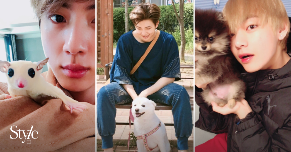BTS members love their pets and post cute dog photos to Instagram just ...