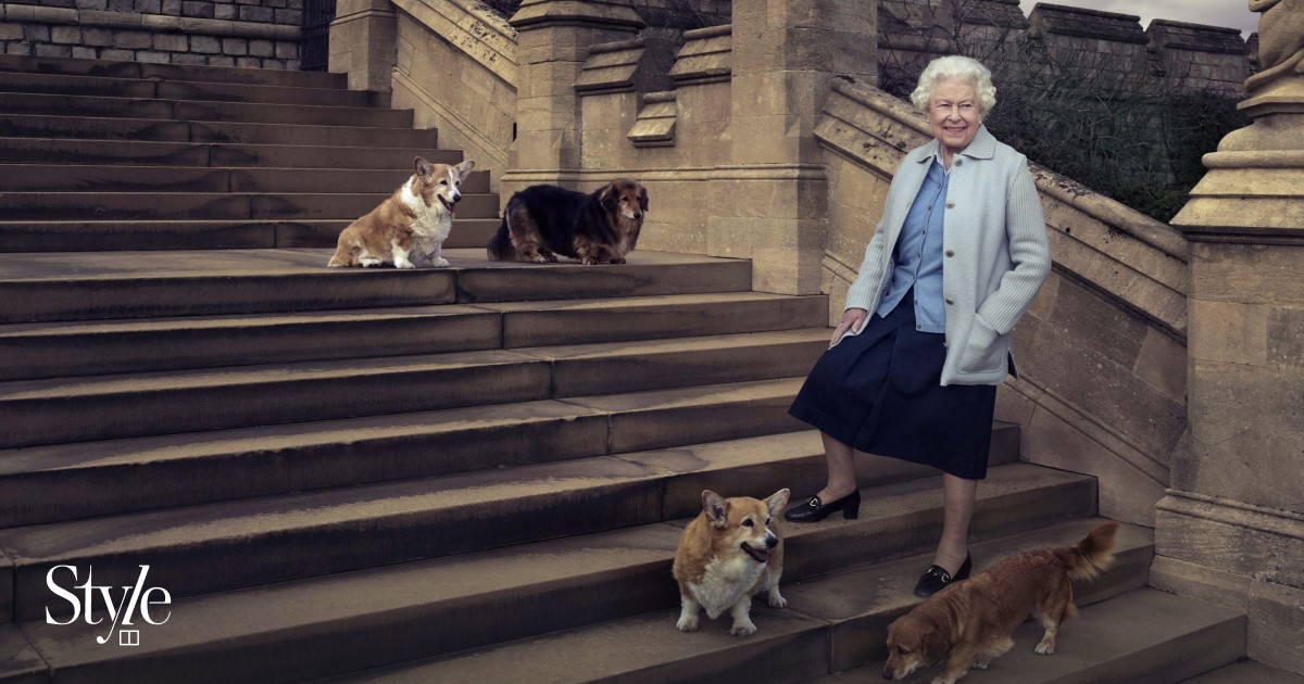 The crown pets: Britain’s Queen Elizabeth loves dogs so much that ...