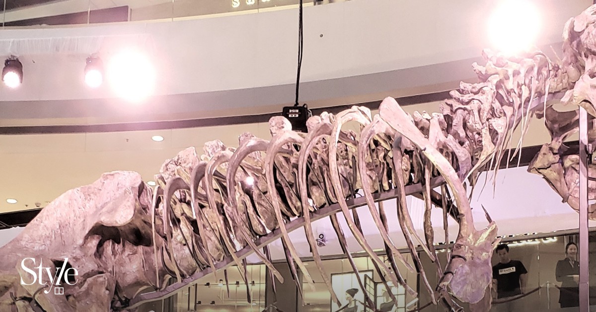 How Hongkongers got to meet a 12-metre-long T.rex dinosaur How Hongkongers got to meet a 12-metre-long T.rex dinosaur