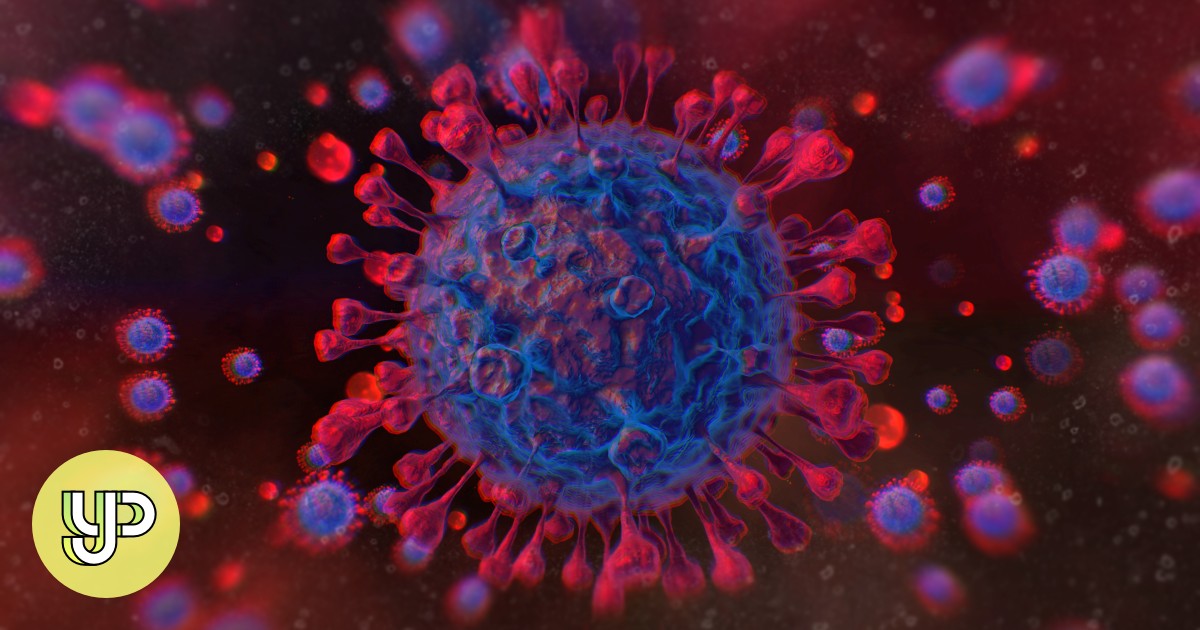 What's the difference between a superspreader and a silent spreader ...