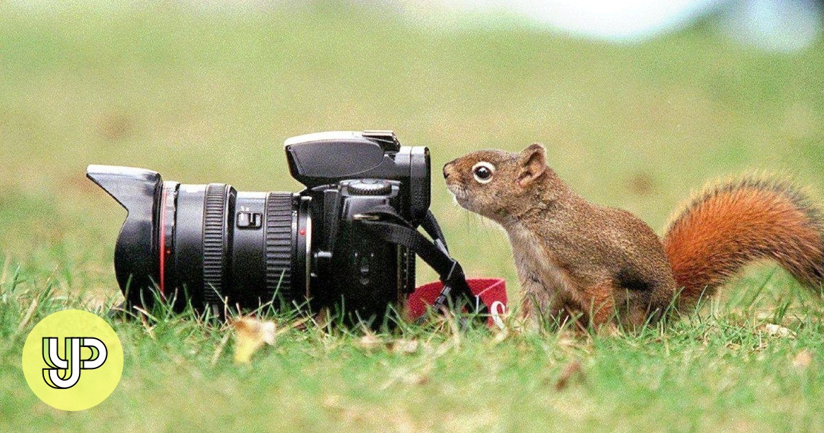 Show off photo prompt: A budding photographer - Young Post | South ...