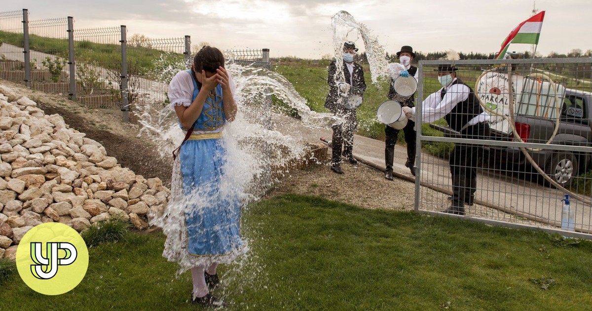 Show off photo prompt: Life’s a splash - Young Post | South China ...