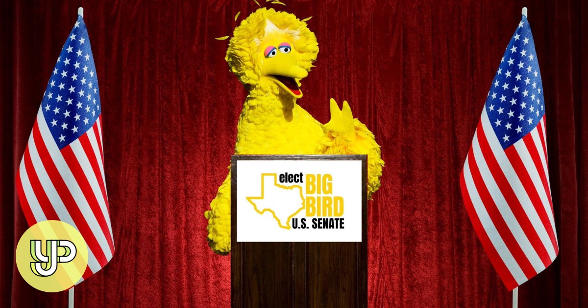 Senator Big Bird? The Twitter account trolling Texas Republican Ted ...