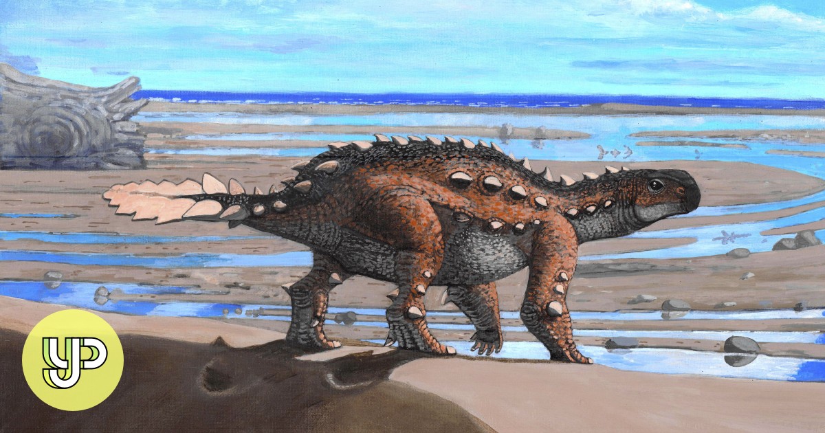 Scientists discover new dinosaur with slashing tail weapon - Young Post ... Scientists discover new dinosaur with slashing tail weapon - Young Post ...