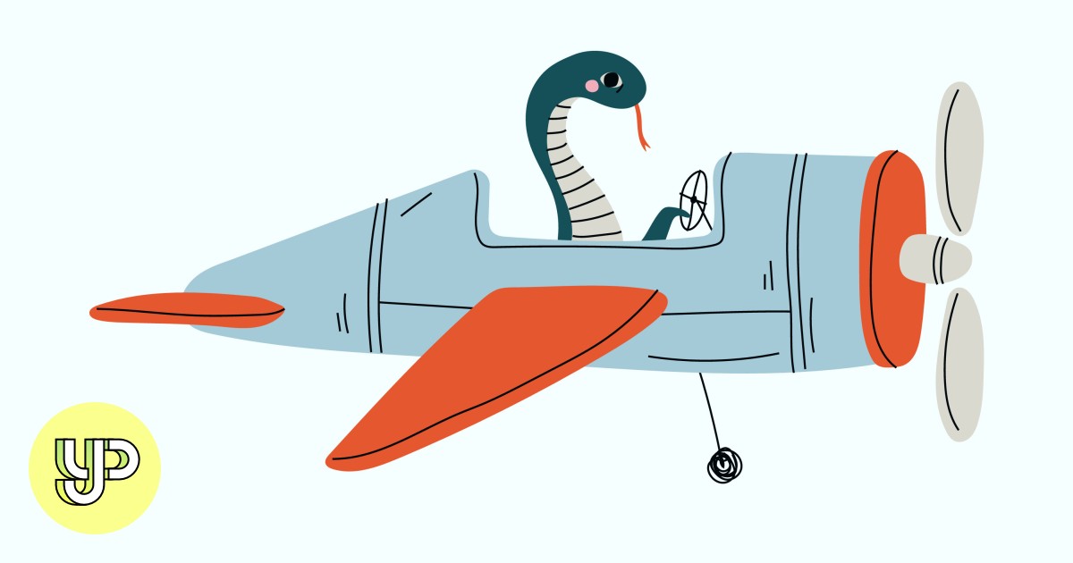 Snake on a plane! TikTok video shows slithering reptile on AirAsia ...