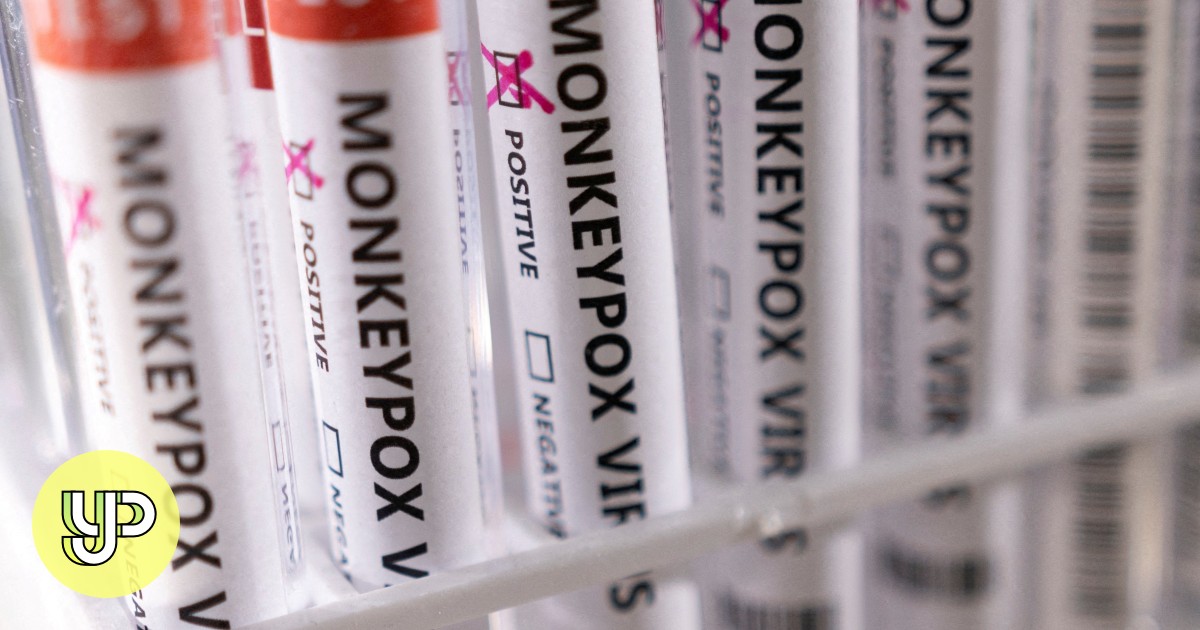More than 1,000 monkeypox cases in non-endemic countries, WHO warns of ...