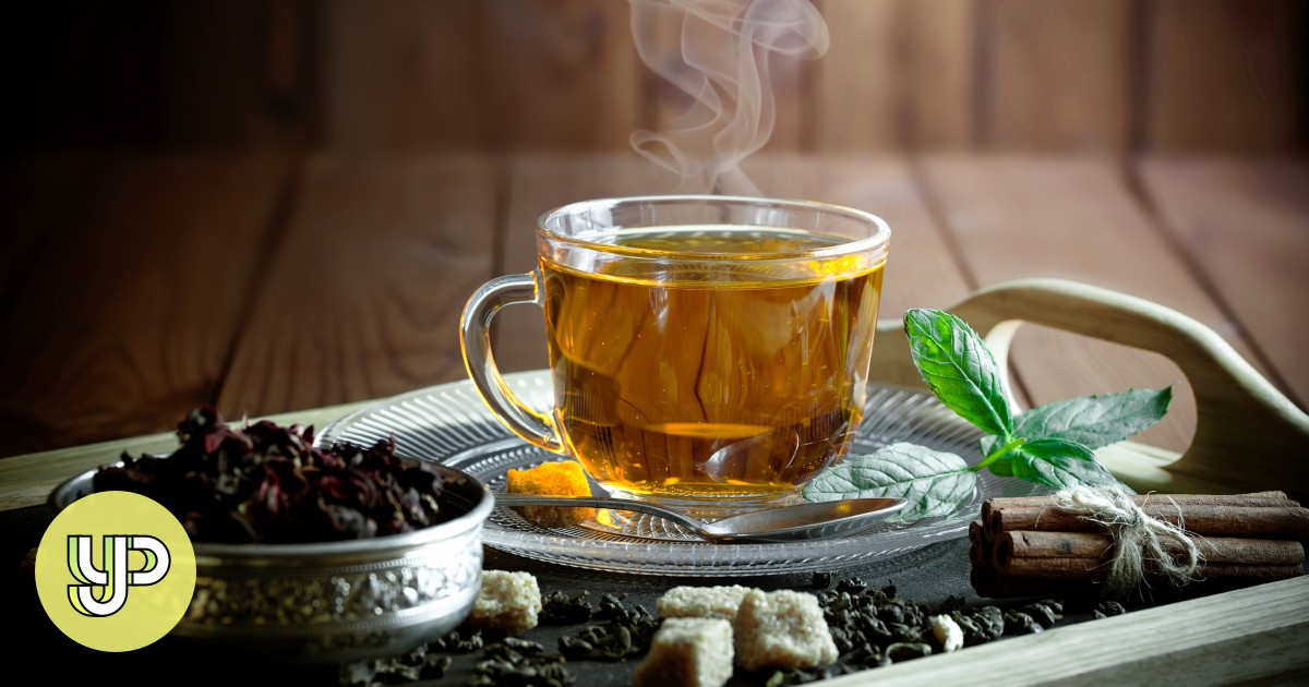 Tea drinkers enjoy possible health benefits, study suggests - Young ...