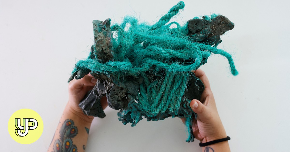 Scientists make ‘disturbing’ find on remote Brazil island: plastic ...