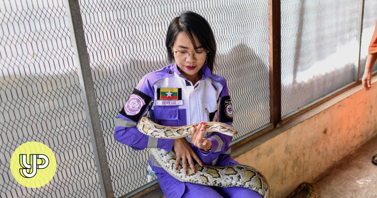 5-minute listening: Pythons on your porch? Call Myanmar’s ‘Snake Princess’ to return reptiles to ...
