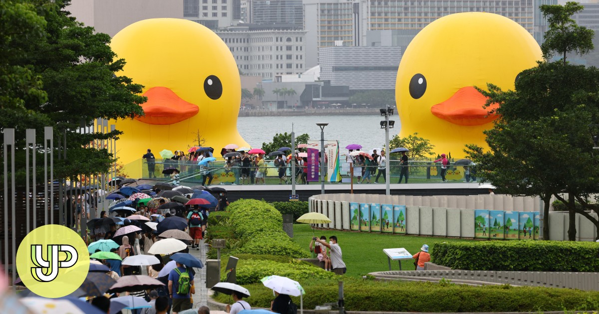 In honour of Hong Kong’s Double Ducks, here are 6 of our favourite ...