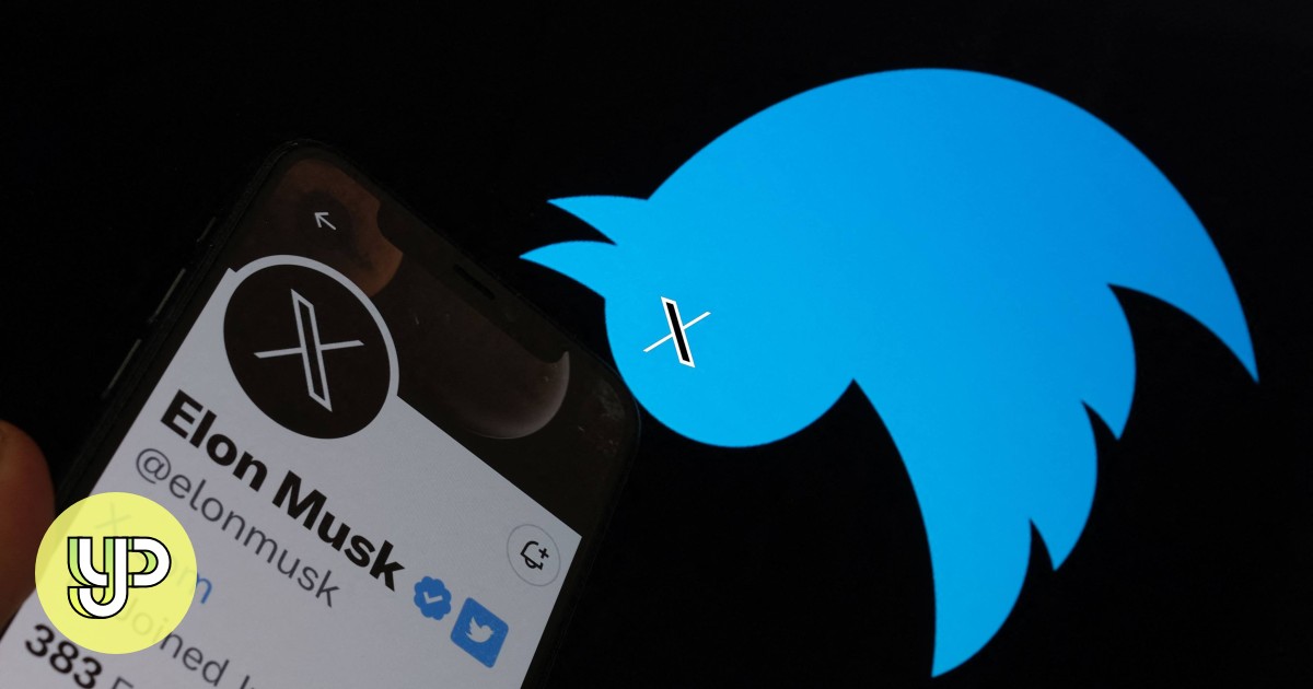 Twitter blue bird has flown as CEO Elon Musk announces X logo, new name ...