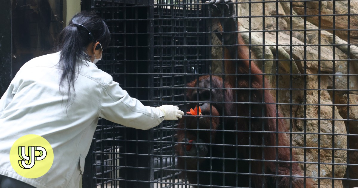 Hong Kong zoo closes after 8 animals found dead; autopsy to determine ...