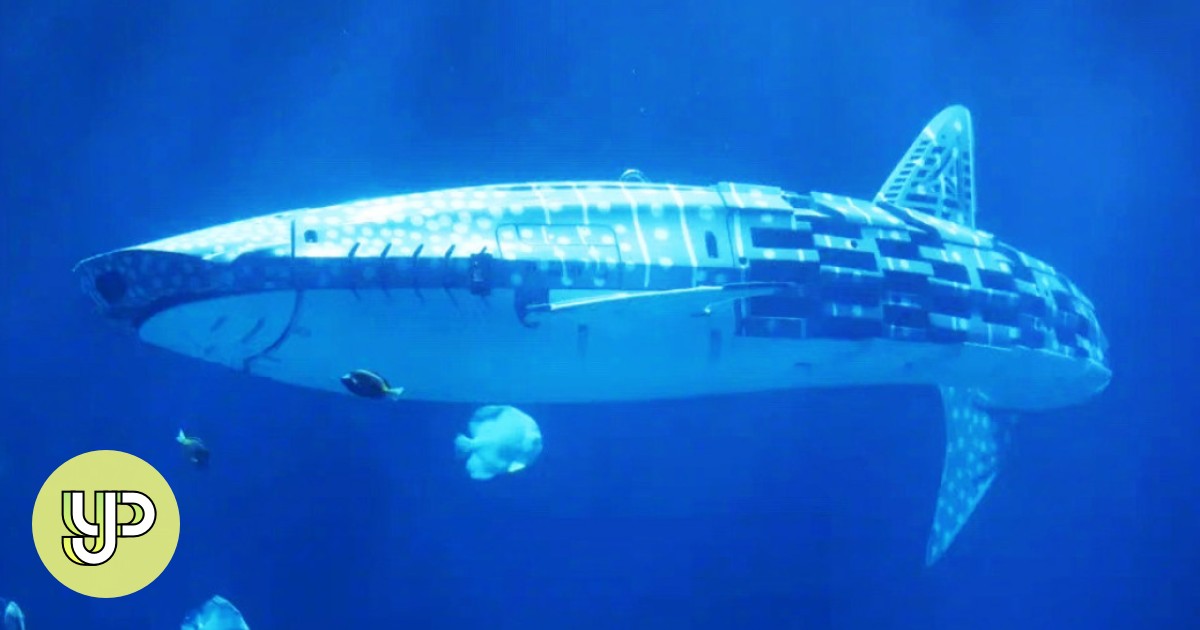 Robot shark at Shenzhen aquarium sparks debate on animal welfare ...