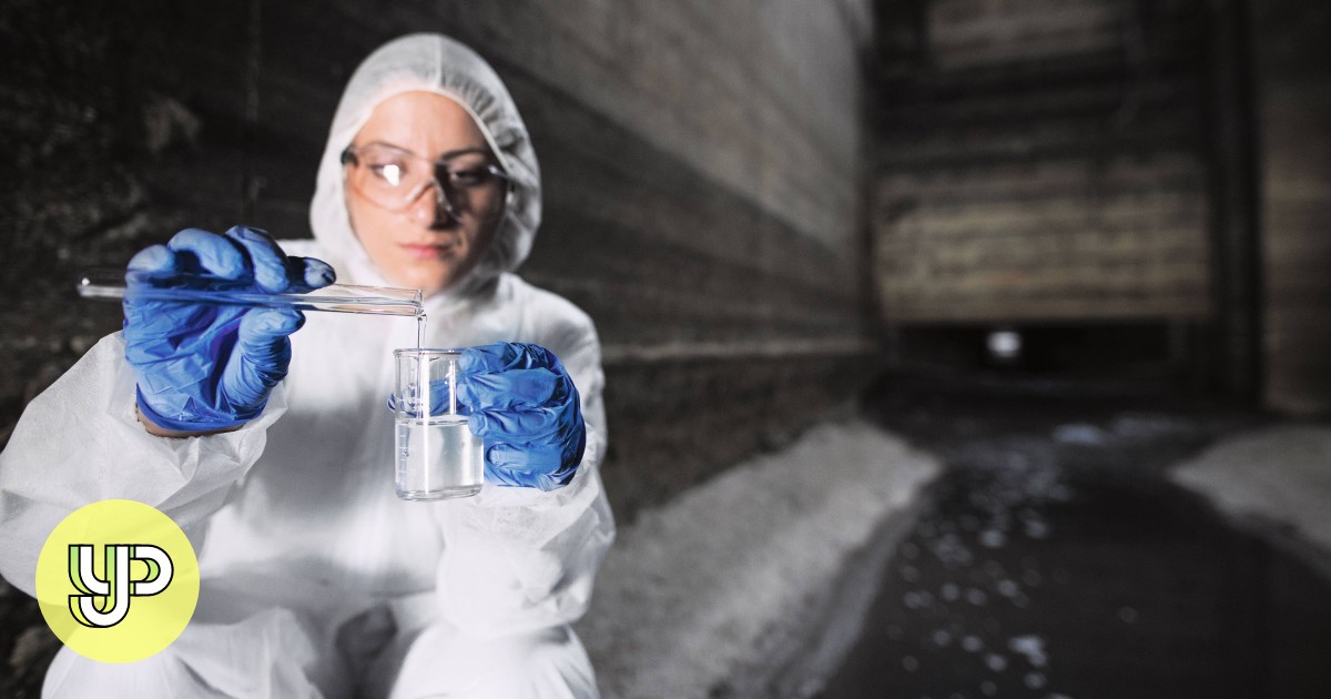 How flushing poop down the drain helps scientists track diseases ...